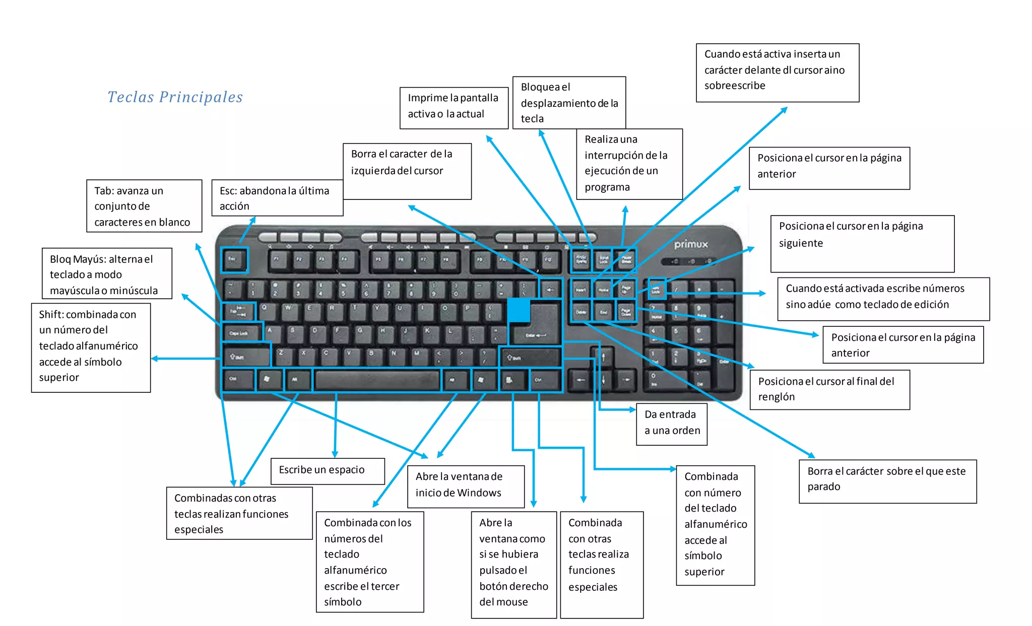 Partes del teclado | DOCX