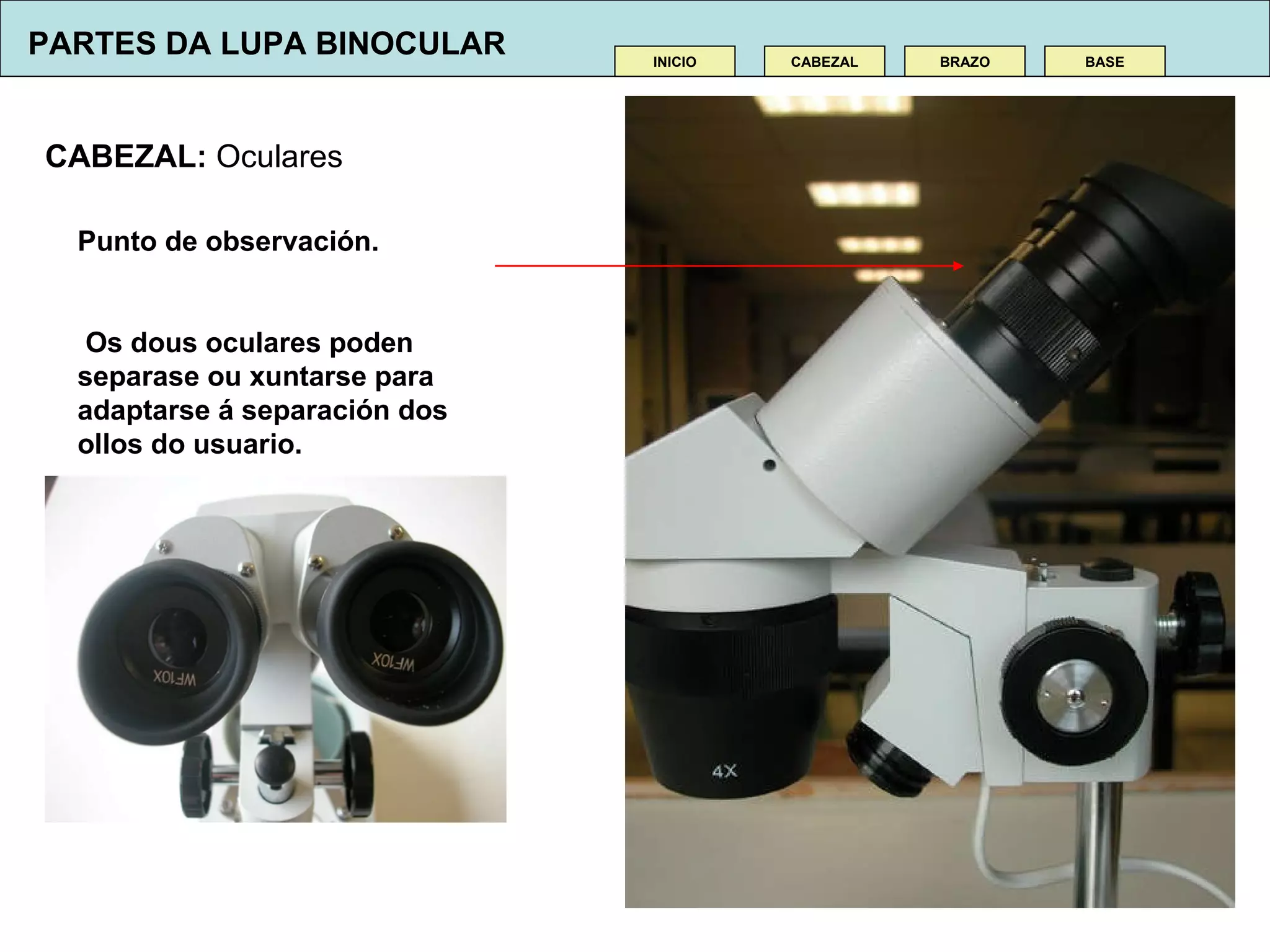 Partes De Lupa Binocular | PPT