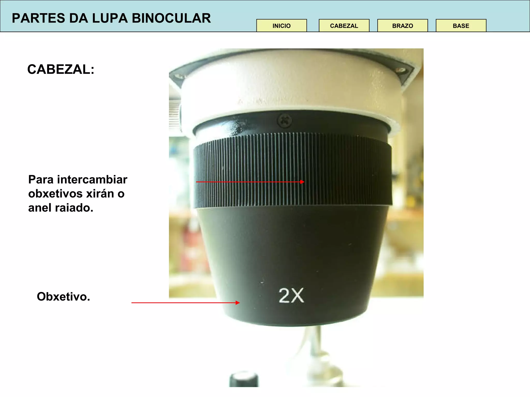 Partes De Lupa Binocular | PPT