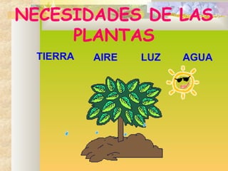 PARTES DE LA PLANTA | PPT