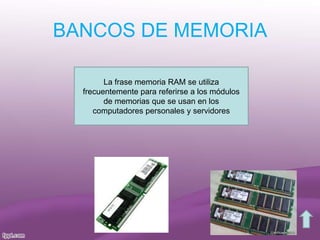 Partes de una computadora | PPTX