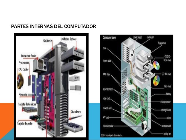 Partes externas y internas de la computadora - Imagui