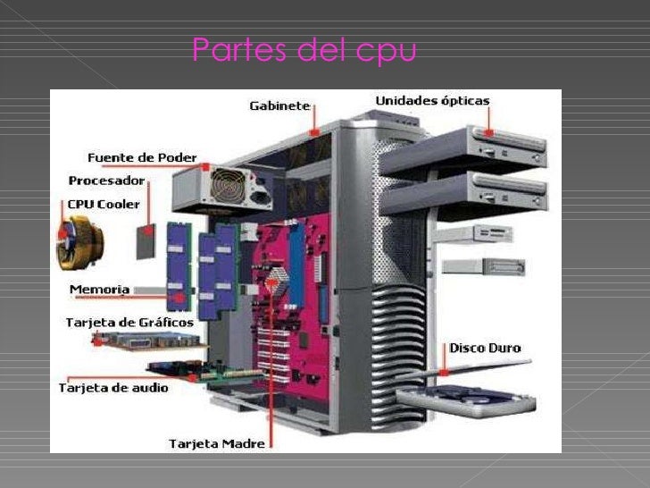 Partes Del Cpu Partes Internas Del Cpu - vrogue.co Partes Del Cpu Partes Internas Del Cpu - vrogue.co