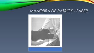 Partes moles membros inferiores | PPT