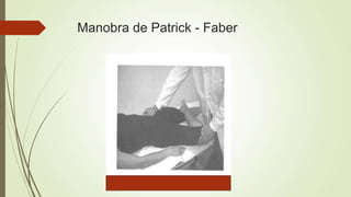 Partes moles membros inferiores | PPT