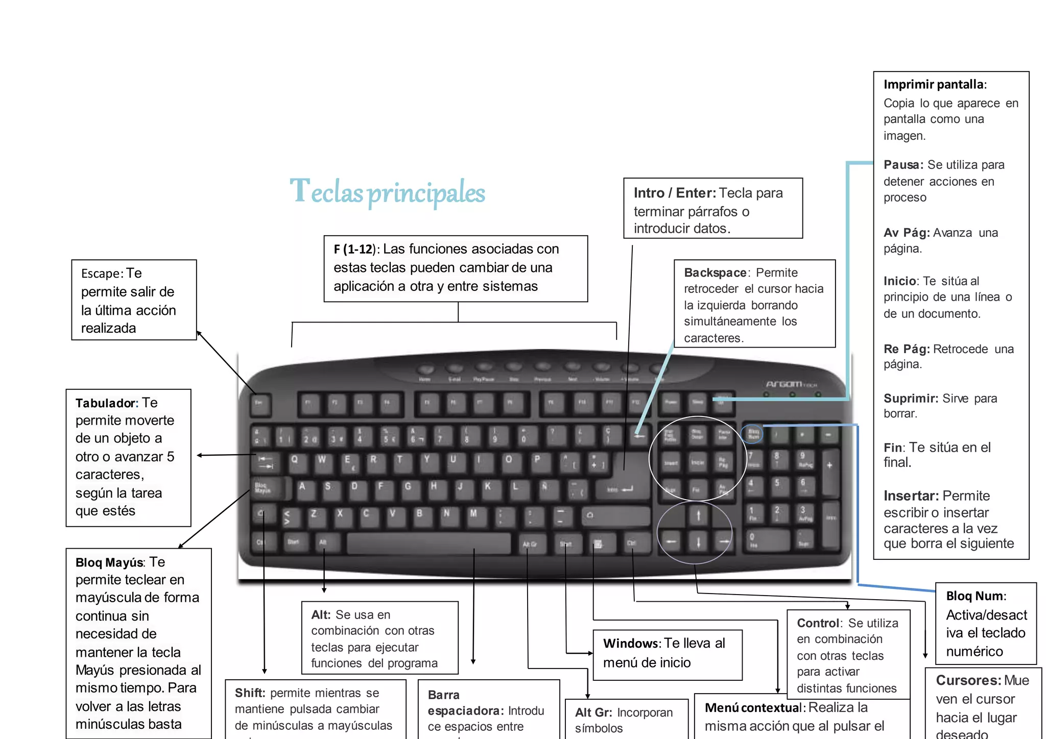 Partes principales de un teclado | DOCX