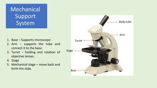 Parts Of A Compound Light Microscope Rheostat