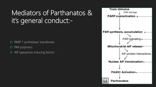 Parthanatos | PPTX