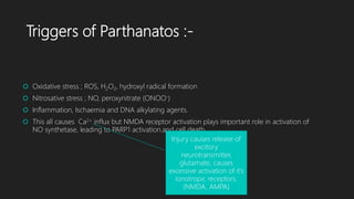 Parthanatos | PPTX