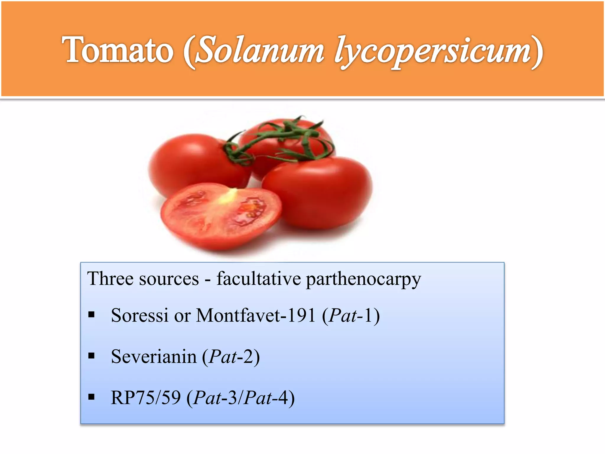 Parthenocarpic vegetables.pptx