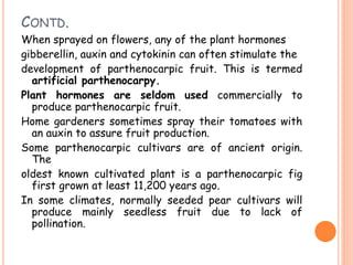 Parthenocarpy | PPTX