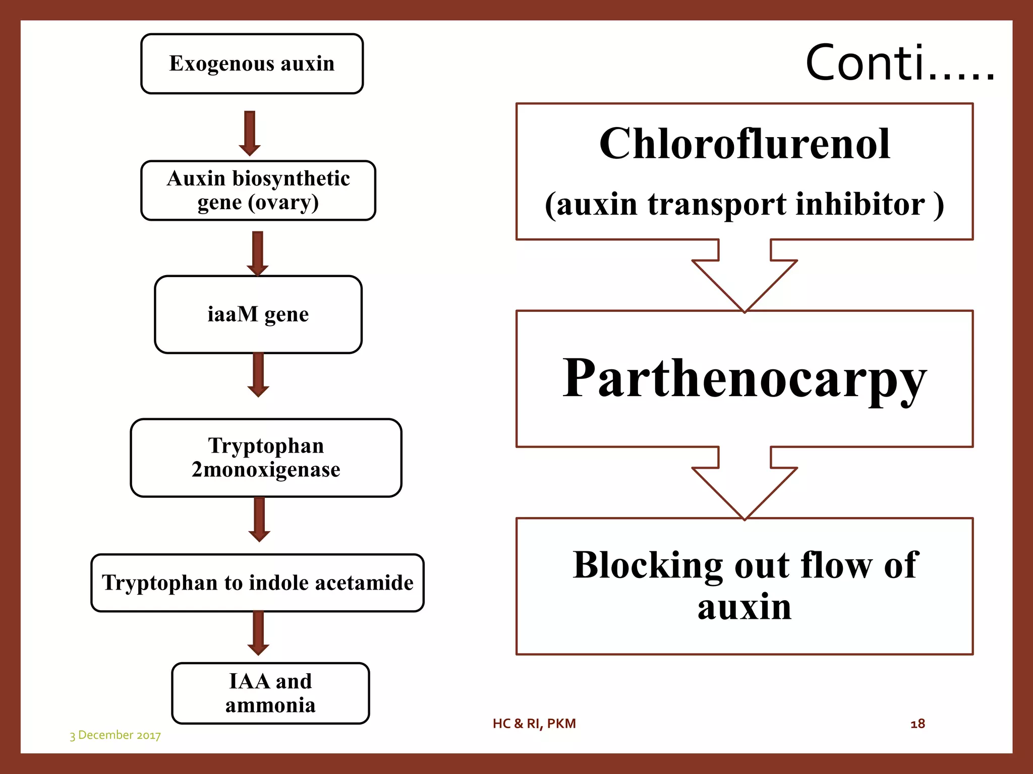 Parthenocarpy types, mechanism, phytohormone level, breeding, vegetable ...
