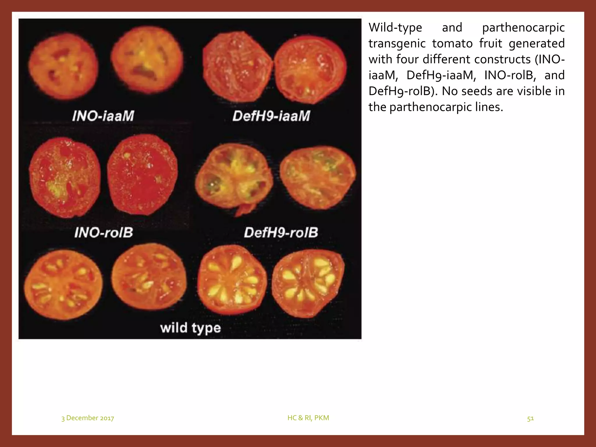 Parthenocarpy types, mechanism, phytohormone level, breeding, vegetable ...