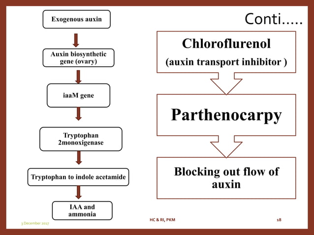 Parthenocarpy types, mechanism, phytohormone level, breeding, vegetable ...