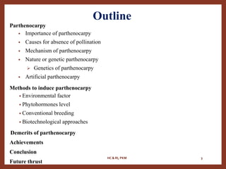 Parthenocarpy types, mechanism, phytohormone level, breeding, vegetable ...