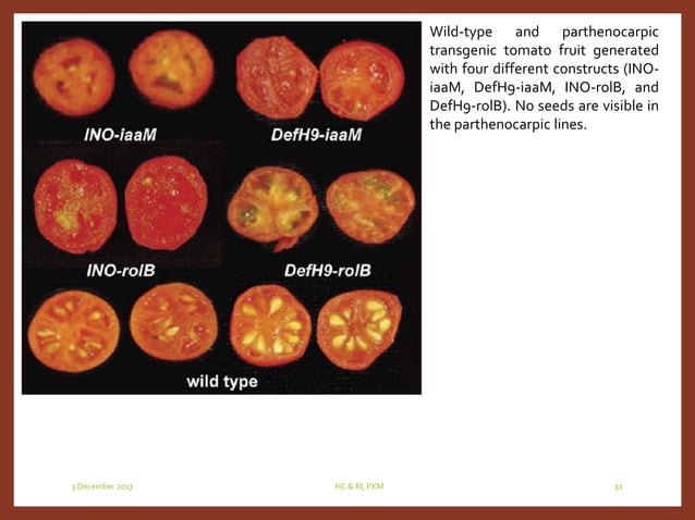 Parthenocarpy types, mechanism, phytohormone level, breeding, vegetable ...
