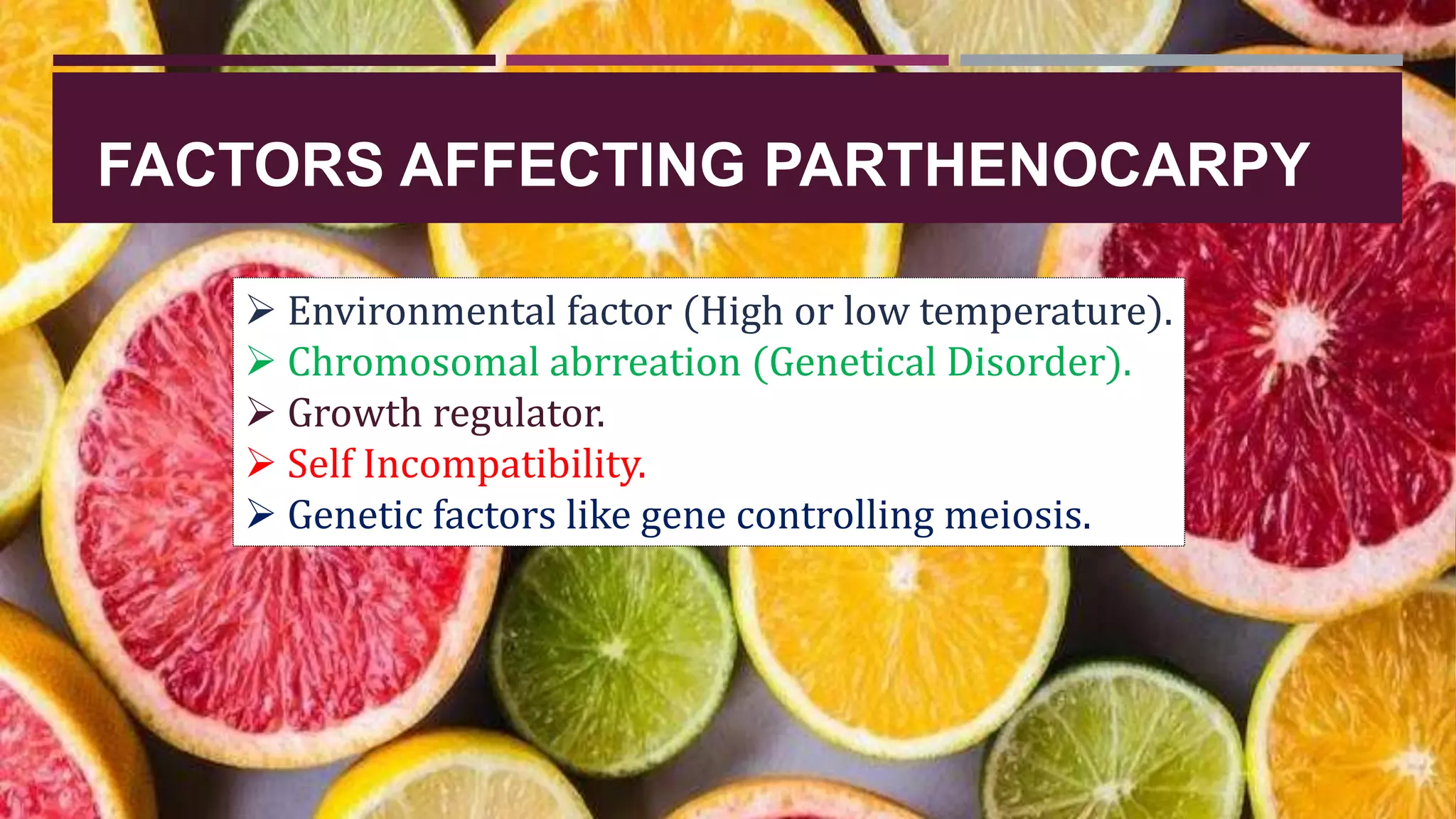 An Introduction to Parthenocarpy | PPTX