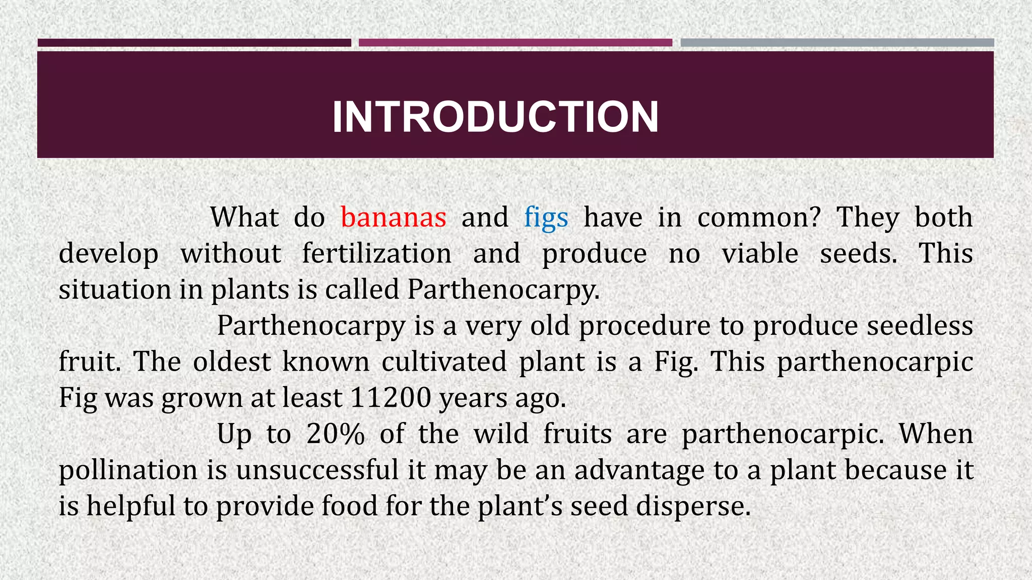 An Introduction to Parthenocarpy | PPTX
