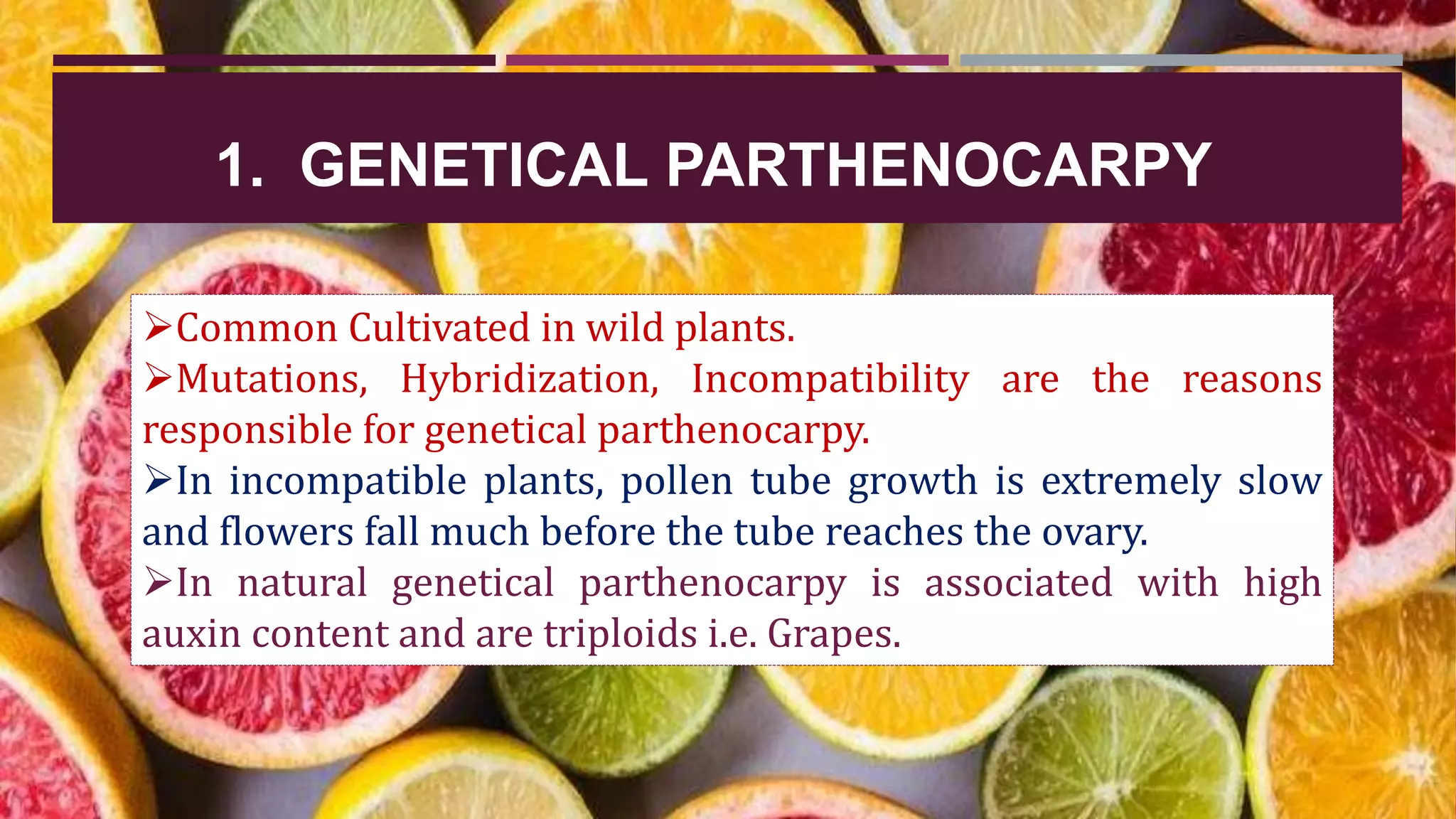 An Introduction to Parthenocarpy | PPTX