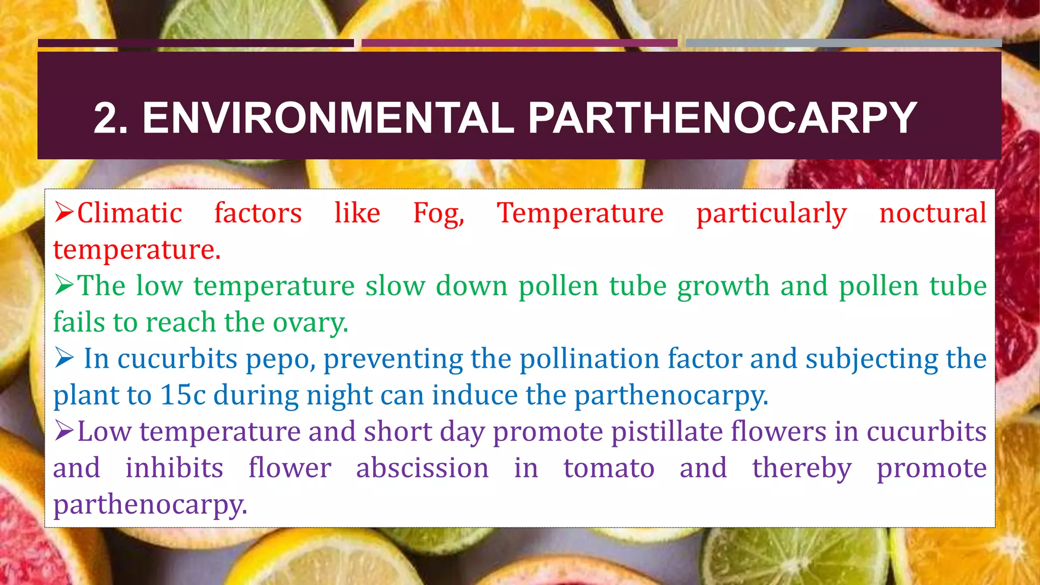 An Introduction to Parthenocarpy | PPTX