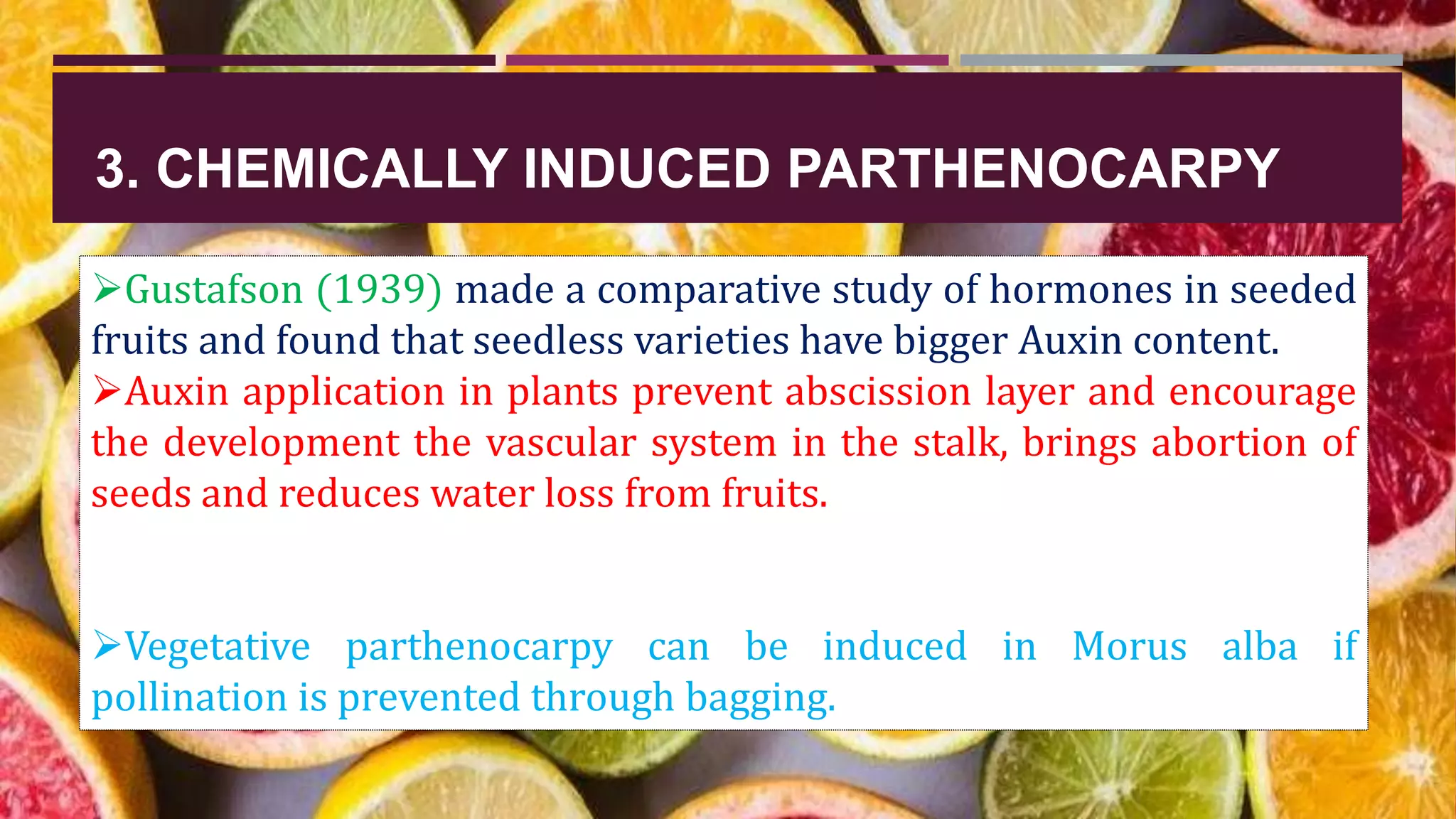 An Introduction to Parthenocarpy | PPTX