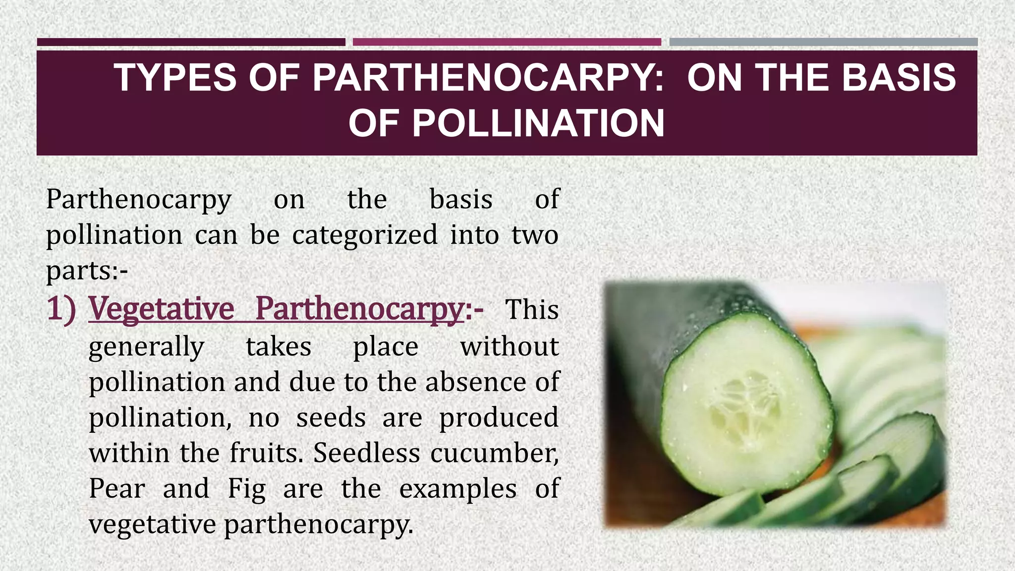 An Introduction to Parthenocarpy | PPTX