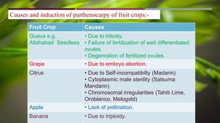 An Introduction to Parthenocarpy | PPTX