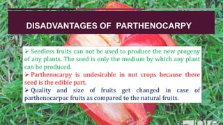An Introduction to Parthenocarpy | PPTX