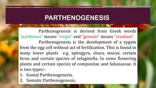 An Introduction to Parthenocarpy | PPTX
