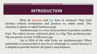 An Introduction to Parthenocarpy | PPTX