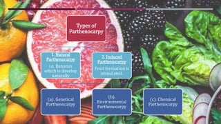 An Introduction to Parthenocarpy | PPTX
