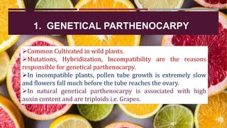 An Introduction to Parthenocarpy | PPTX