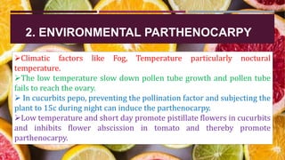 An Introduction to Parthenocarpy | PPTX