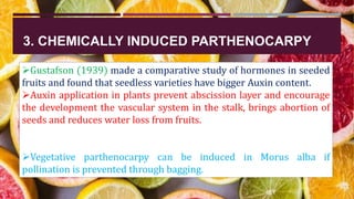 An Introduction to Parthenocarpy | PPTX