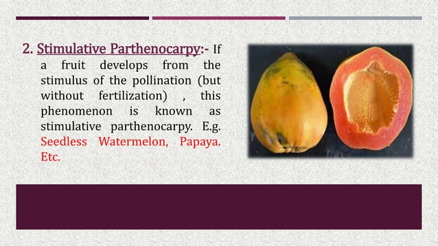 An Introduction to Parthenocarpy | PPTX | Infertility | Reproductive Health