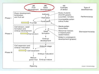parthenocarpy in fruits : its nature and types | PPTX