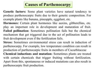 parthenocarpy in fruits : its nature and types | PPTX