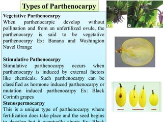 parthenocarpy in fruits : its nature and types | PPTX