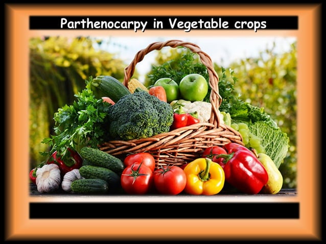 Parthenocarpy in Vegetable crops .ppt