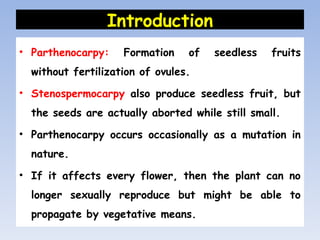 Parthenocarpy in Vegetable crops .ppt