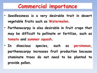 Parthenocarpy in Vegetable crops .ppt