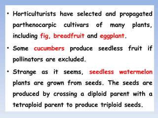 Parthenocarpy in Vegetable crops .ppt