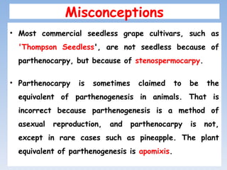 Parthenocarpy in Vegetable crops .ppt