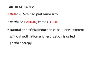 Parthenocarpy | PPTX