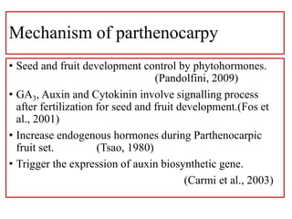 Parthenocarpy invegetable crops | PPTX