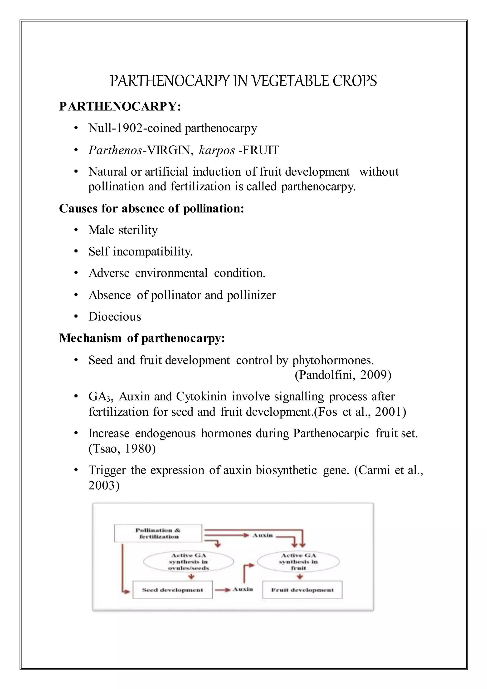 Parthenocarpy word | DOCX