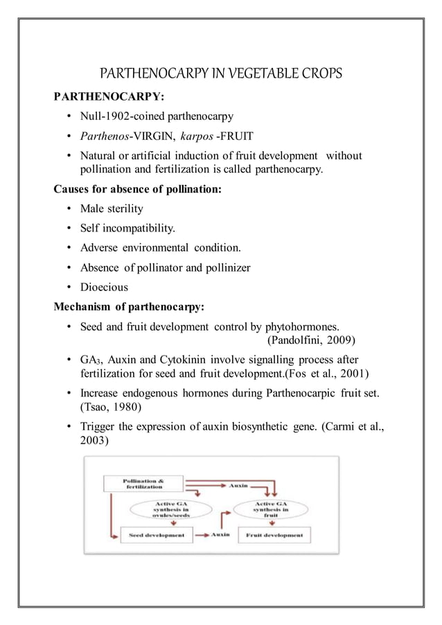 Parthenocarpy word | PDF