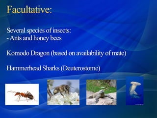 Parthenogenesis | PPTX