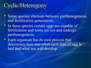 Parthenogenesis | PPTX