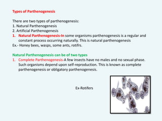 Parthenogenesis, Natural parthenogenesis, Artificial parthenogenesis | PPTX